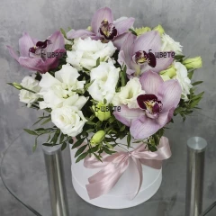 Send flowers to Bulgaria with E-cvete - Send a round box of orchids and ...